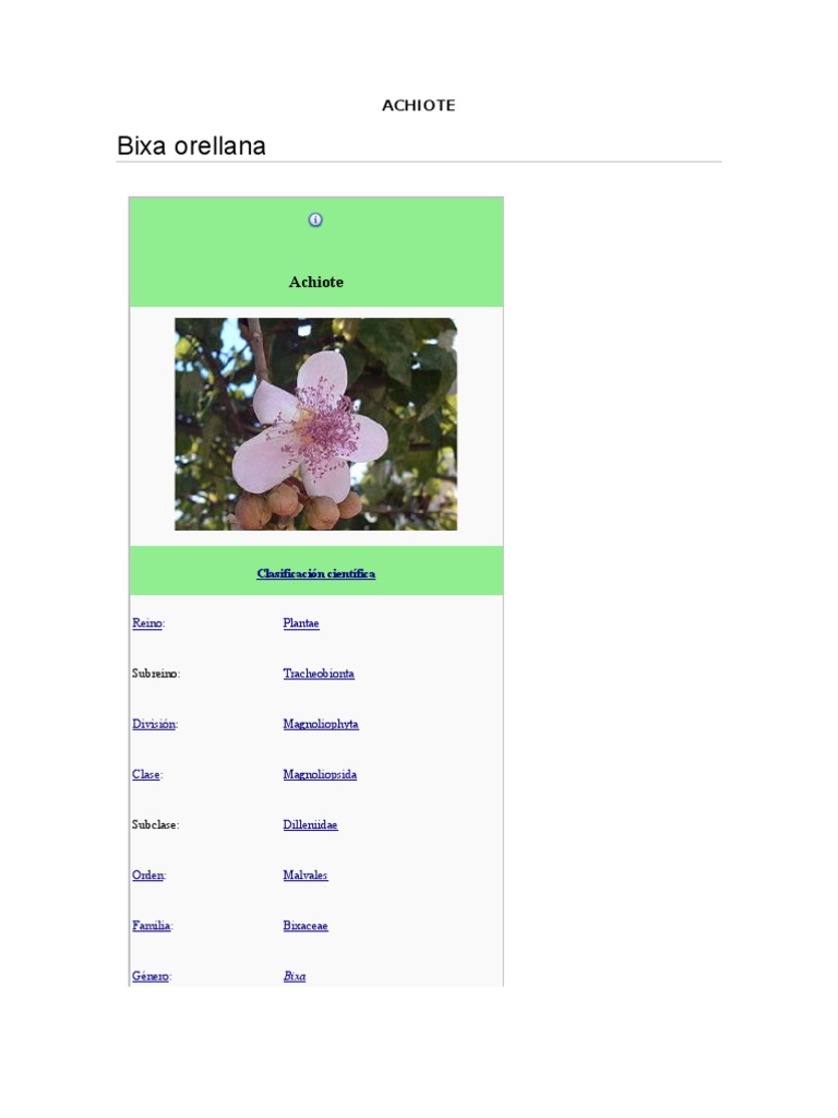 ACHIOTE | PDF | Plantas | Botánica