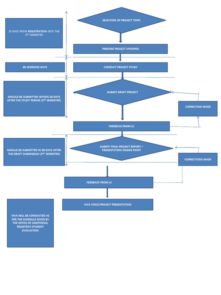 Project Guidlines | PDF
