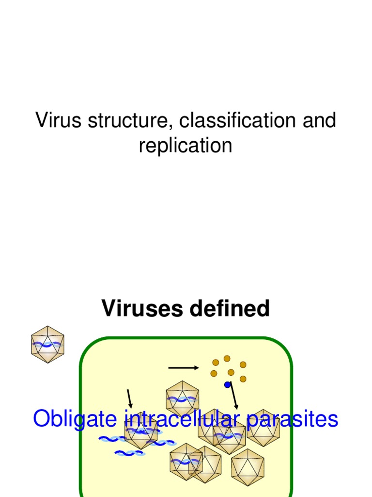 Virus Structure and Replication Overview | PDF | Virus | Animal Virology