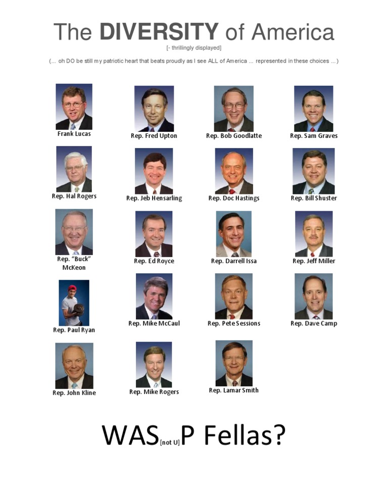 Celebrating America's Political Diversity | PDF