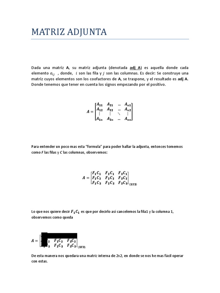 Matriz Adjunta | PDF | Determinante | Matriz (Matemáticas)