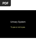 Urinary System Labeling Guide | PDF