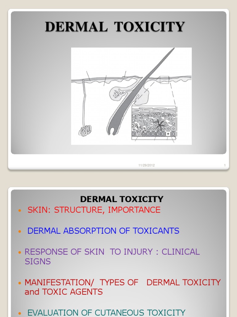 Dermatological Toxicity | PDF | Epidermis | Skin