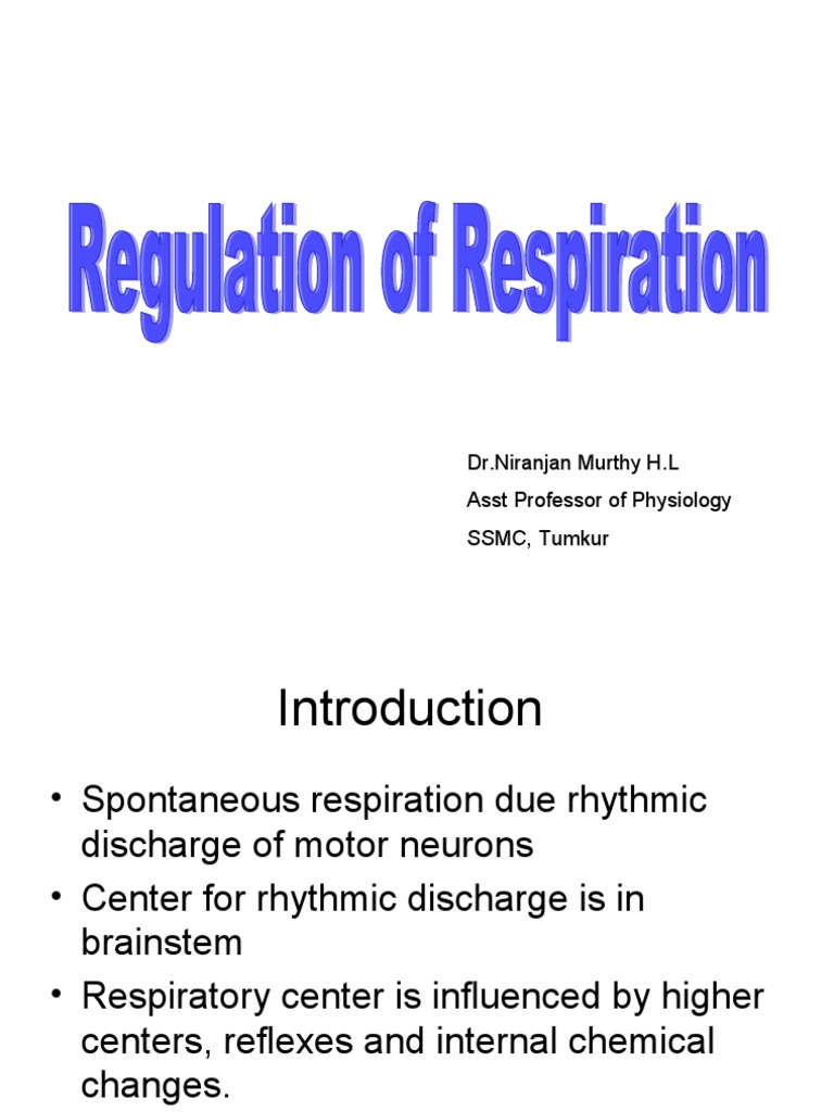 Regulation of Respiration | PDF | Breathing | Nervous System