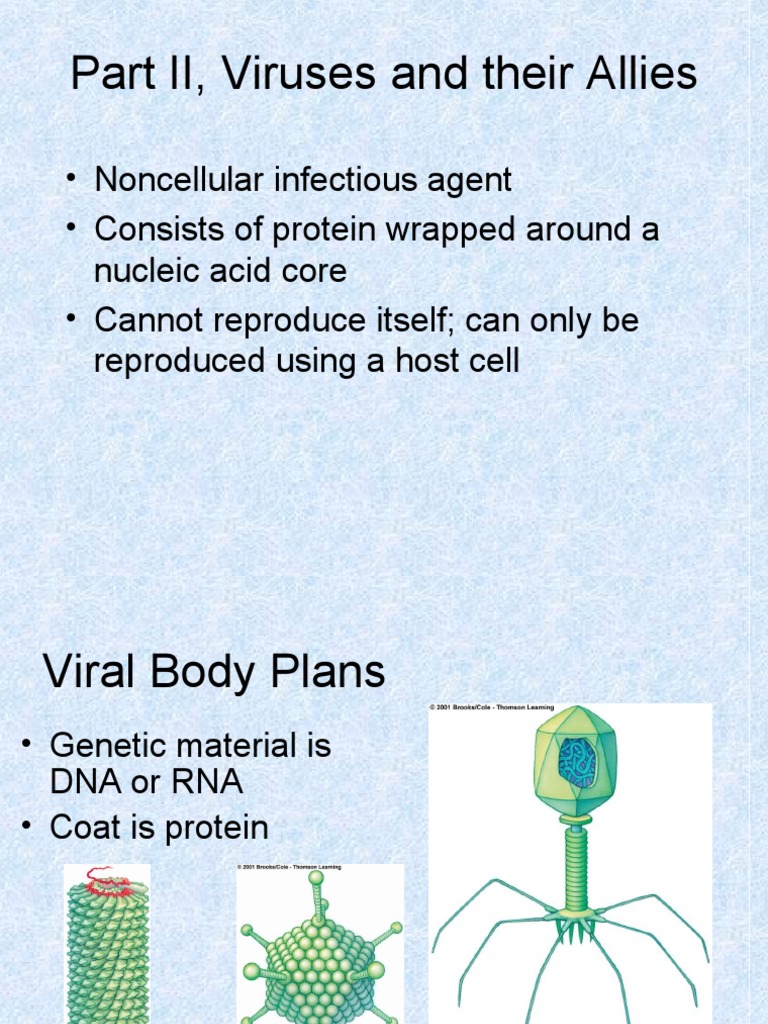 Viruses, Protists) Part II | PDF | Virus | Tree Of Life (Biology)