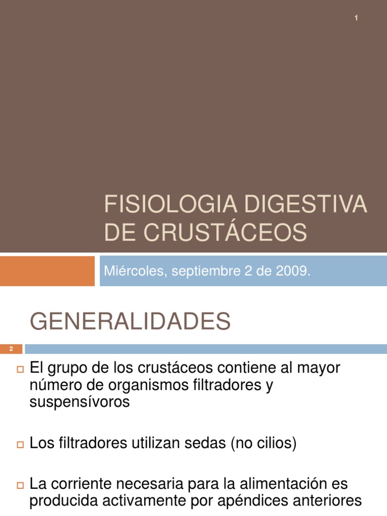 Fisiología Digestiva de Crustáceos | PDF | Digestión | Sistema ...