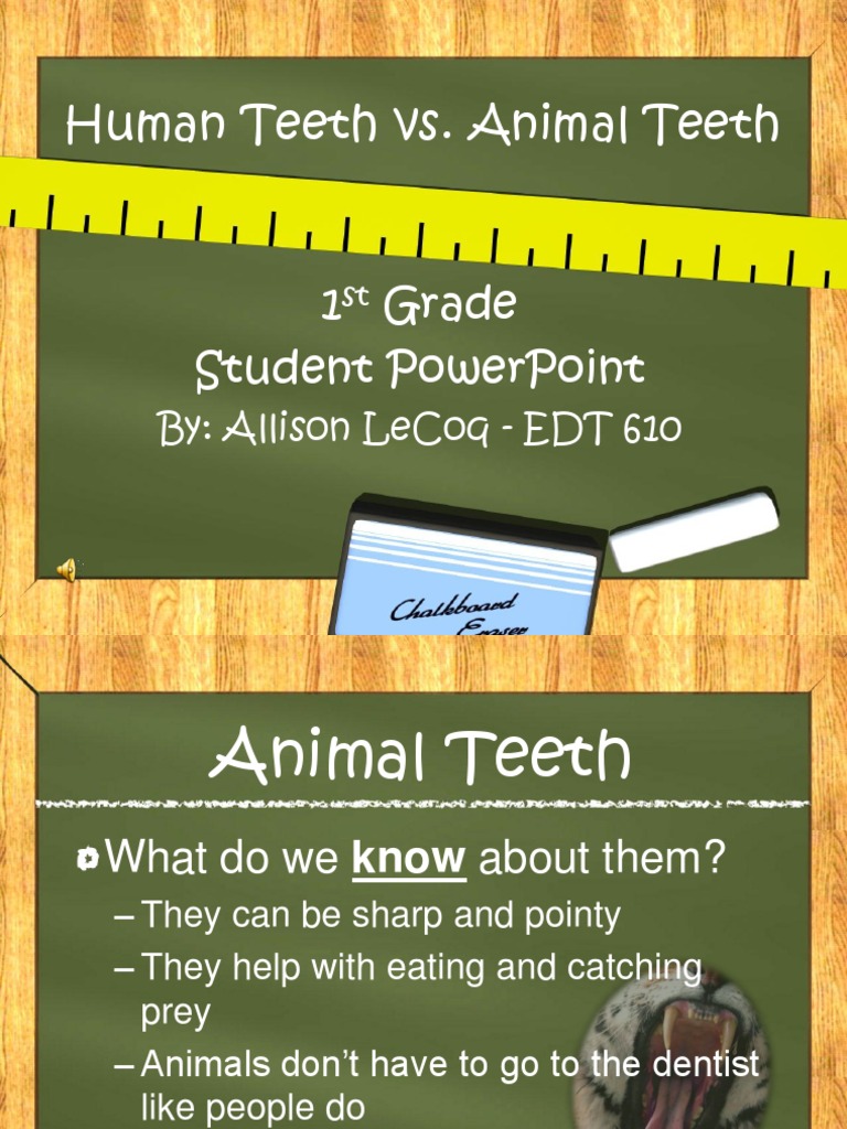 Comparing Human and Animal Teeth | PDF | Tooth | Reading Comprehension
