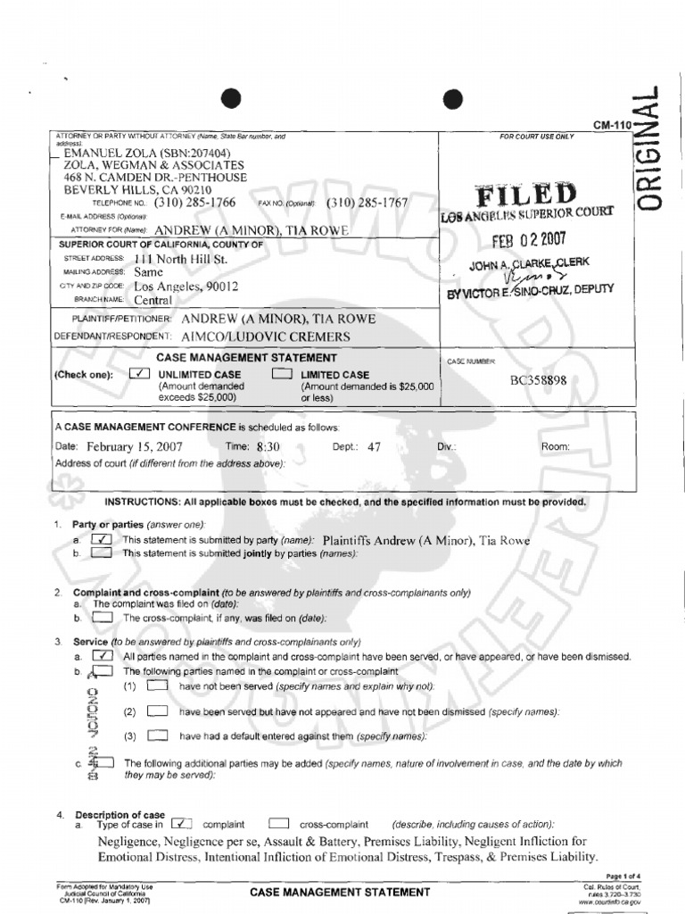 Tia Rowe Andrew Payan Vs Disney Exec - Case Management | PDF | Foreign ...