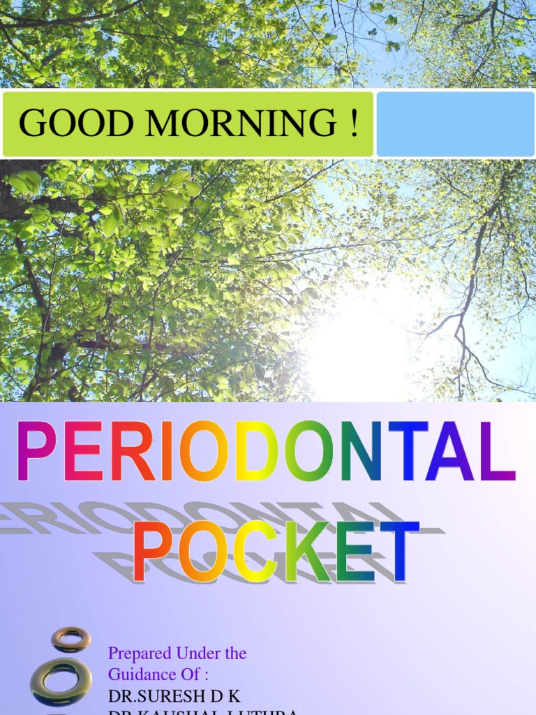 PDL Pocket | PDF | Epithelium | Human Tooth