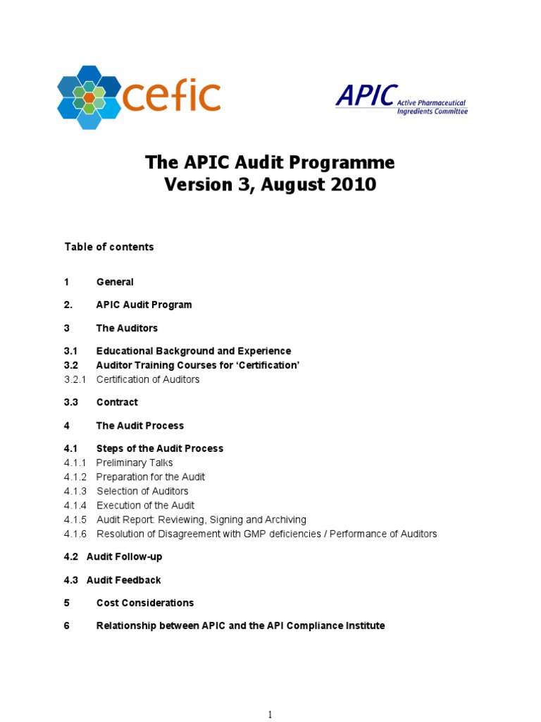 The APIC Audit Programme Version 3 August 2010 | PDF | Auditor's Report ...