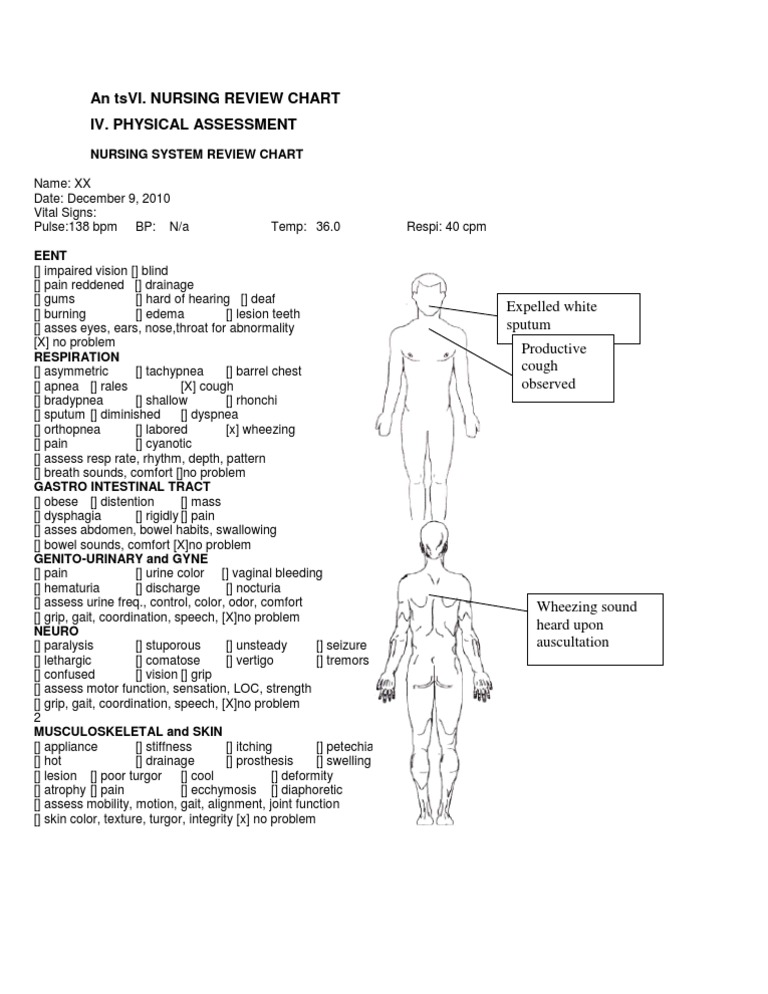 Physical Assessment | PDF