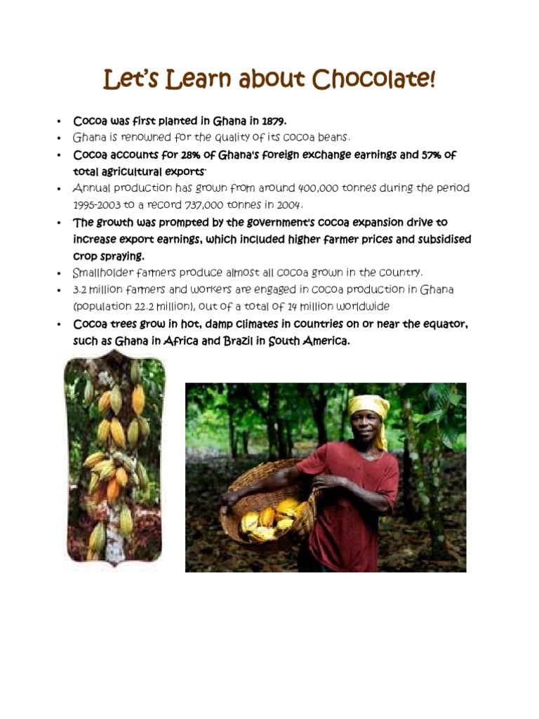 Ghana's Cocoa Production Process Explained | PDF