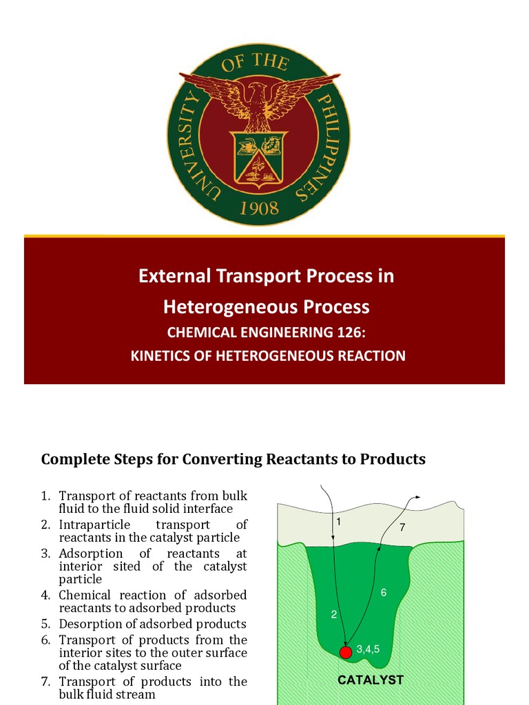 External Transport Process in Heterogeous Reactions | PDF ...