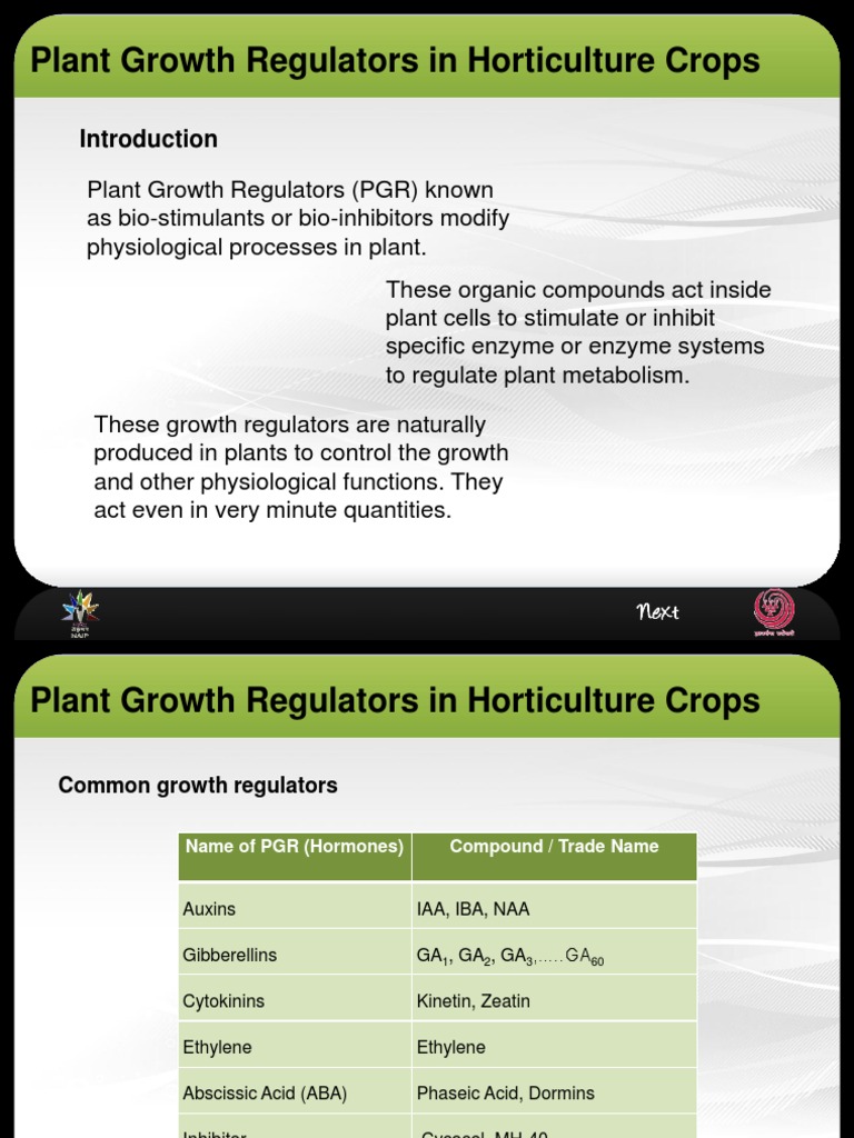 Plant Growth Regulators in Horticulture | PDF | Plant Hormone ...