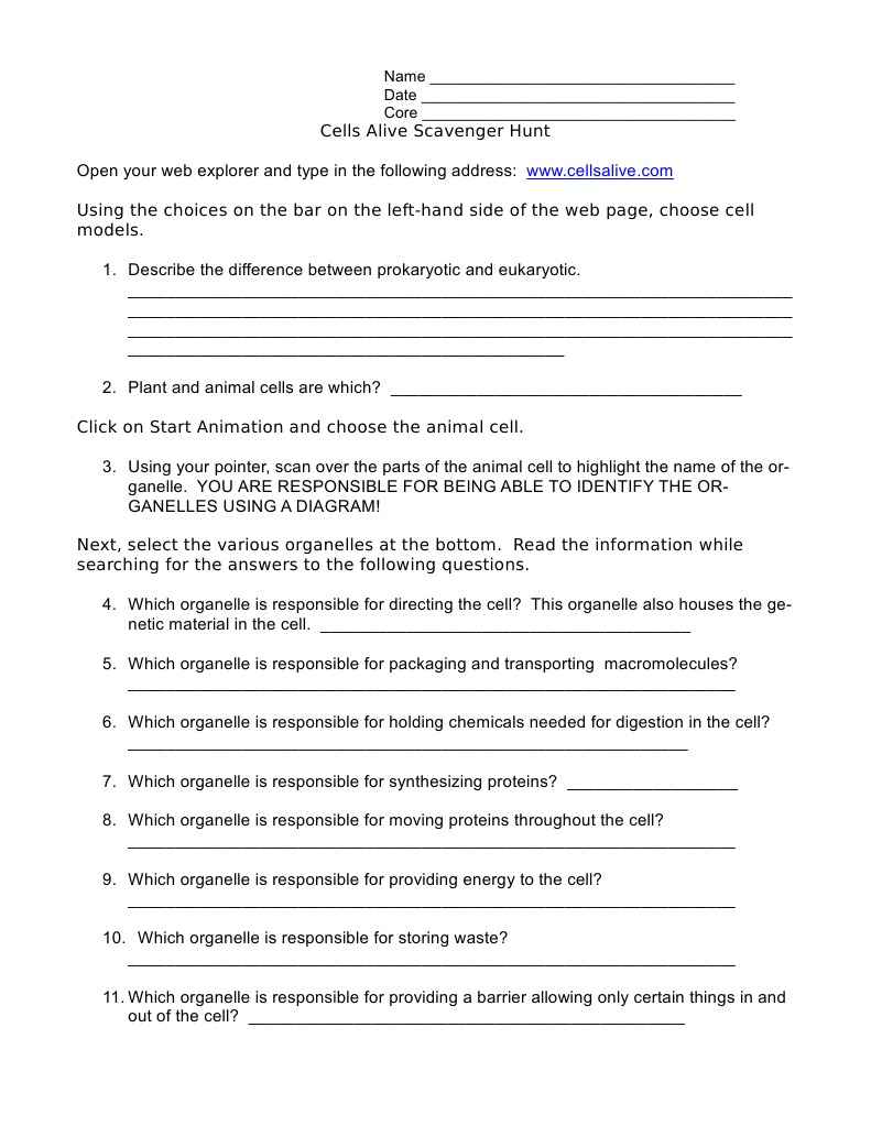 Cells Alive Scavenger Hunt | PDF | Organelle | Cell (Biology)