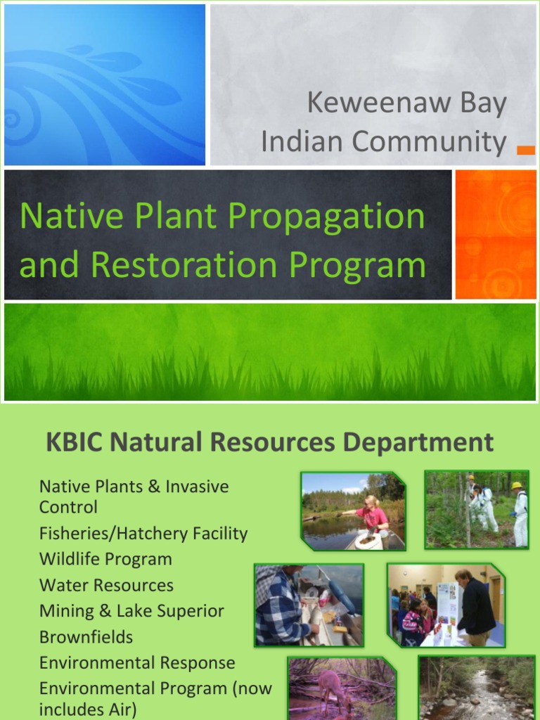 2012 KBIC Native Plant Presentation | PDF