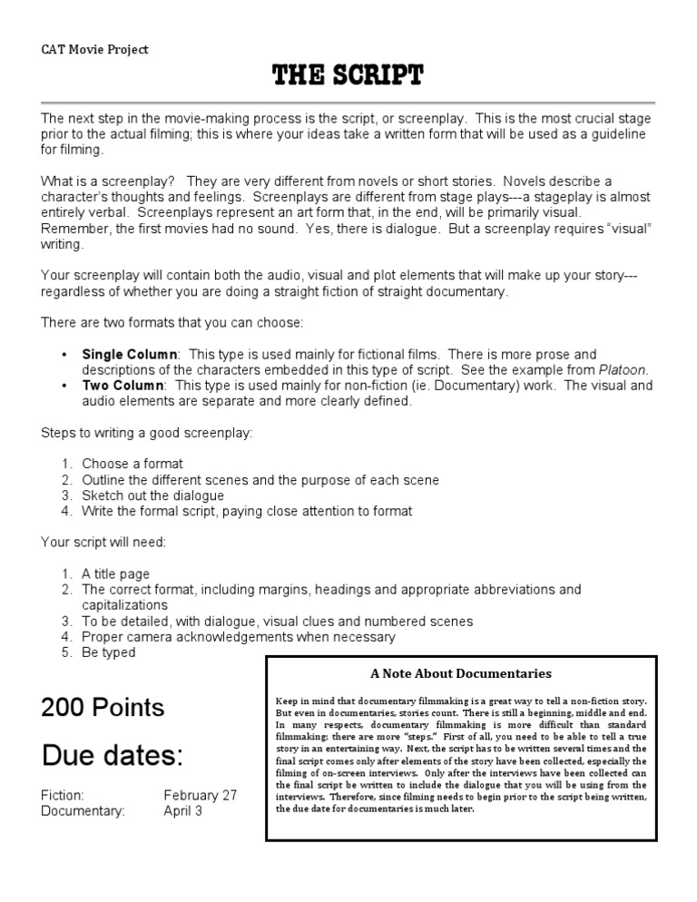 CAT Film Project - Script | PDF | Screenplay | Documentary Film