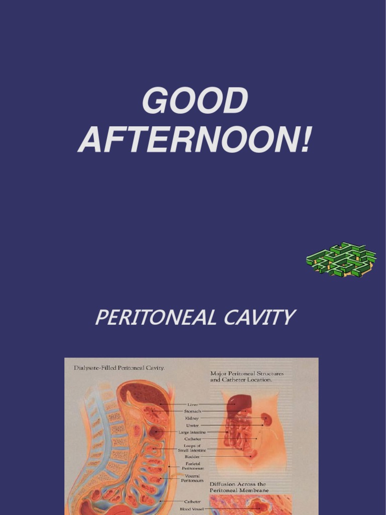 Peritoneal Cavity Powerpoint Pdf Peritoneum Abdomen