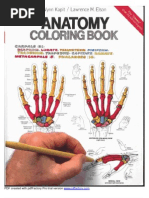 Human Anatomy: Colori NG Book | PDF