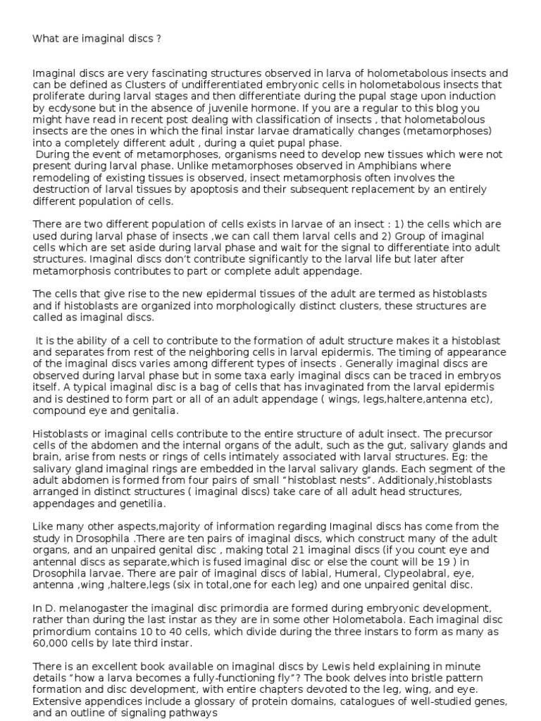 What Are Imaginal Discs | PDF | Reproduction | Developmental Biology