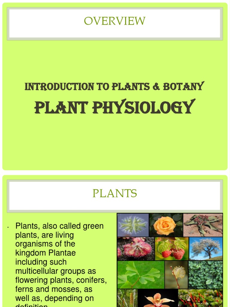 Introduction to Plant Physiology | Plant Physiology | Plants