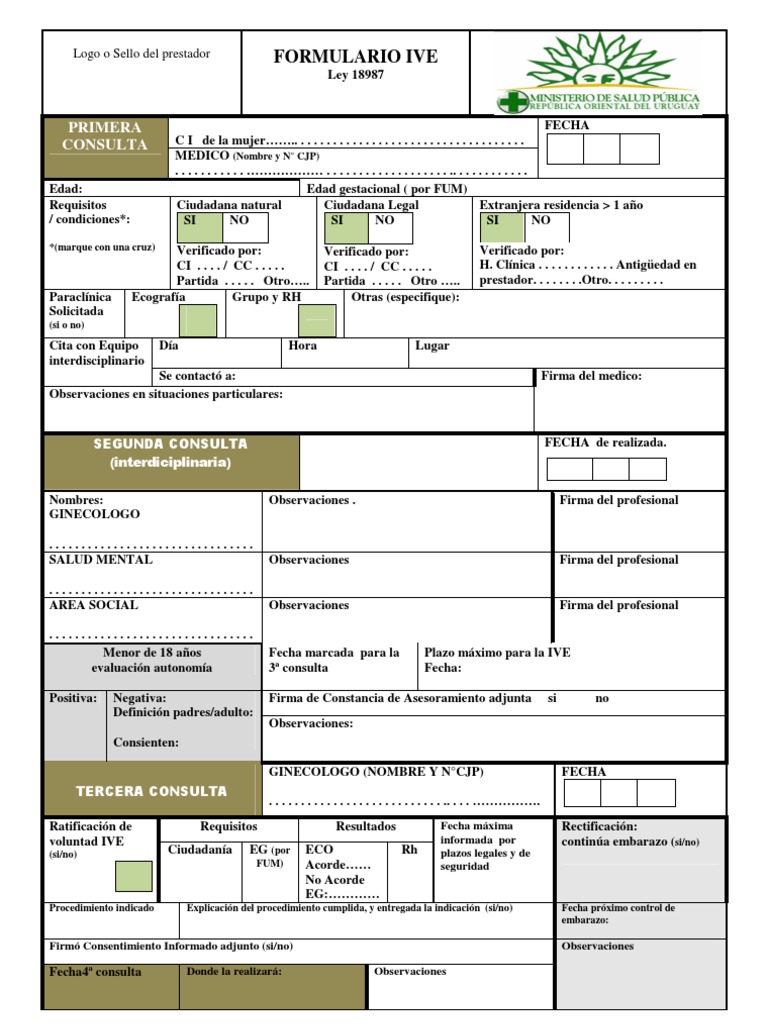 Formulario Ive - MSP | PDF
