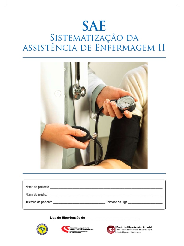 Modelo de SAE | PDF