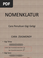 Nomenklatur Gigi | PDF