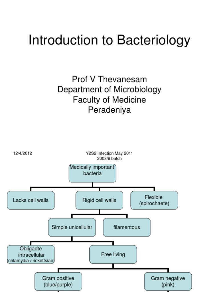 Introduction To Bacteriology | PDF