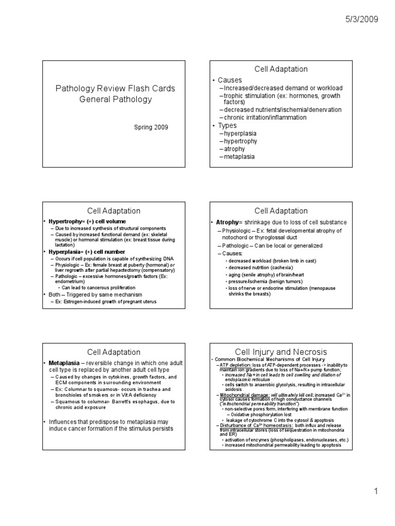 Pathology Review Flash Cards | PDF | Coagulation | Apoptosis