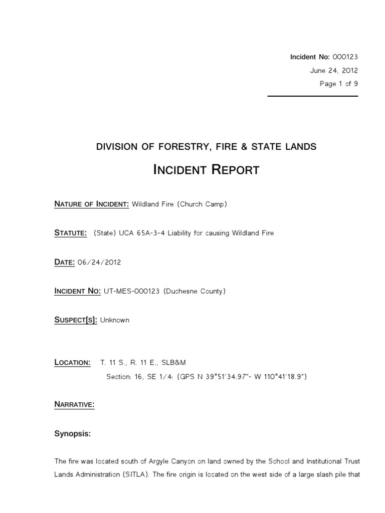 Church Camp Fire Report | Download Free PDF | Wildfire | United States ...