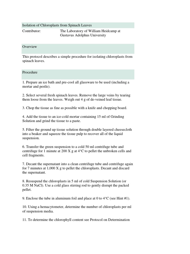 Chloroplast Isolation from Spinach Leaves | PDF | Sodium Hydroxide ...