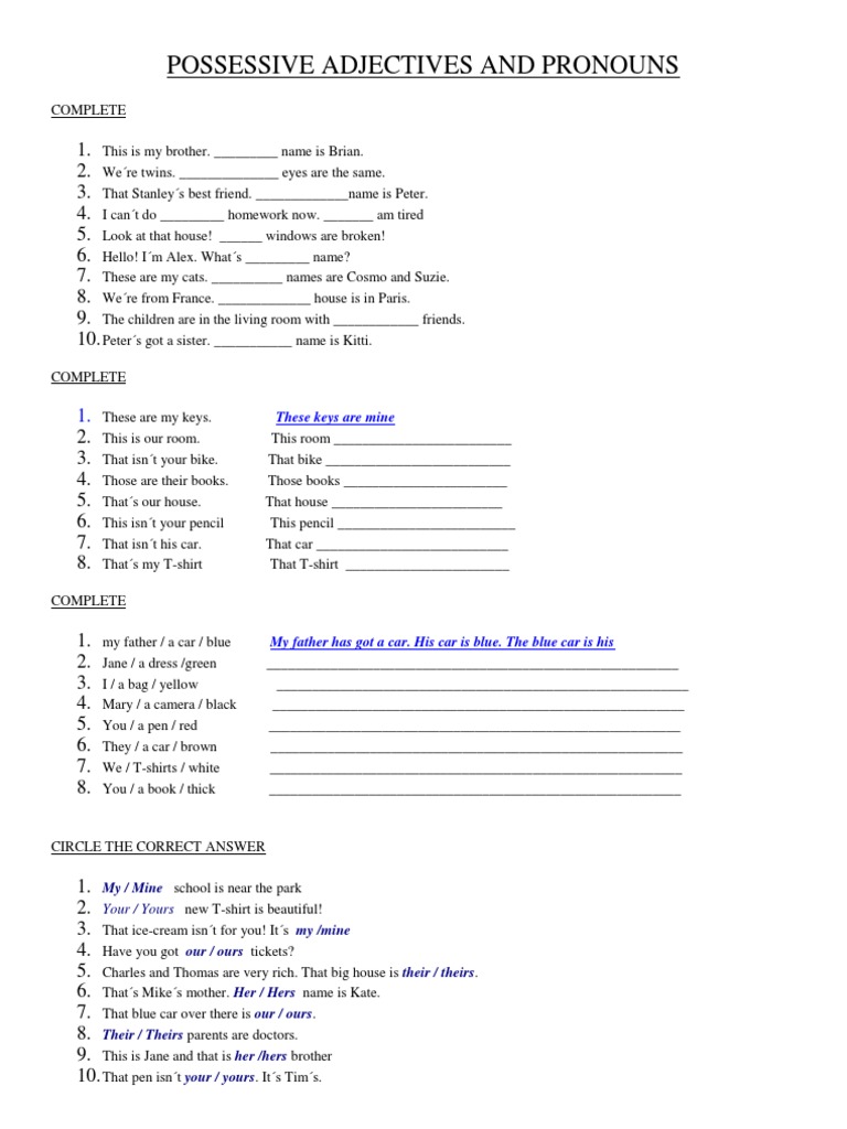 Mastering Possessive Adjectives & Pronouns | PDF