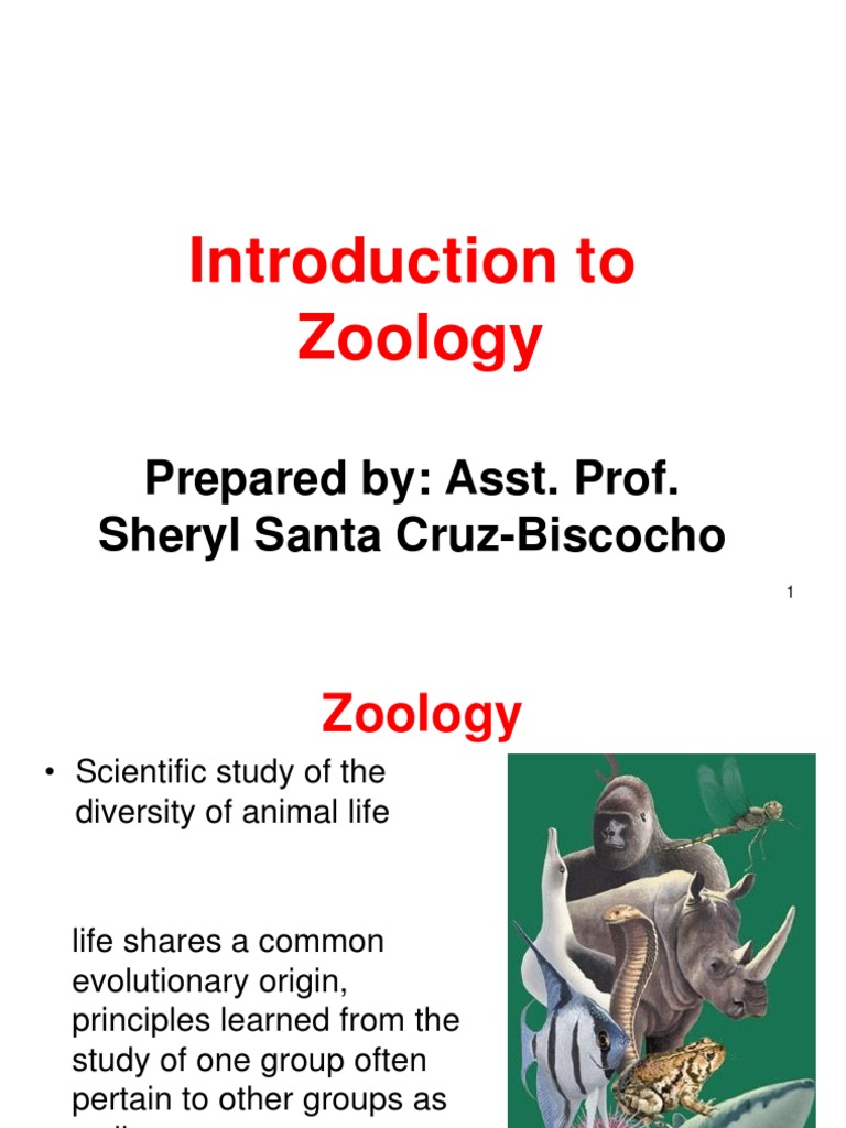 Introduction To Zoology | PDF | Organisms | Life
