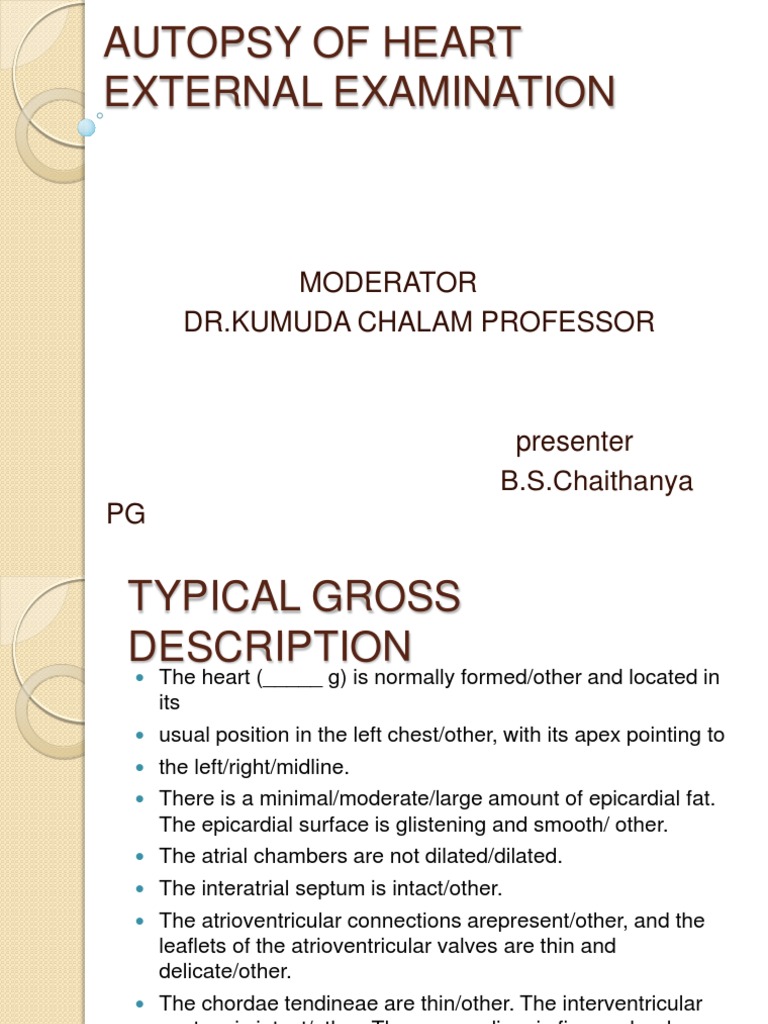 Autopsy of Heart External Examination | Coronary Circulation | Heart