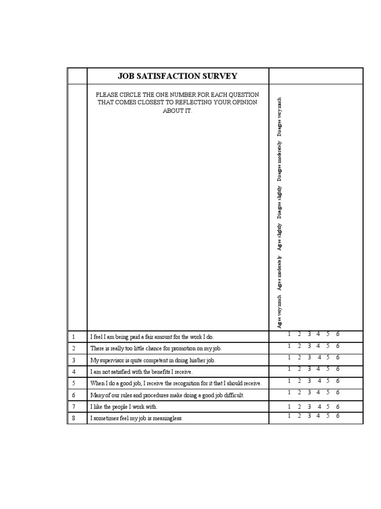 Job Satisfaction Survey | PDF