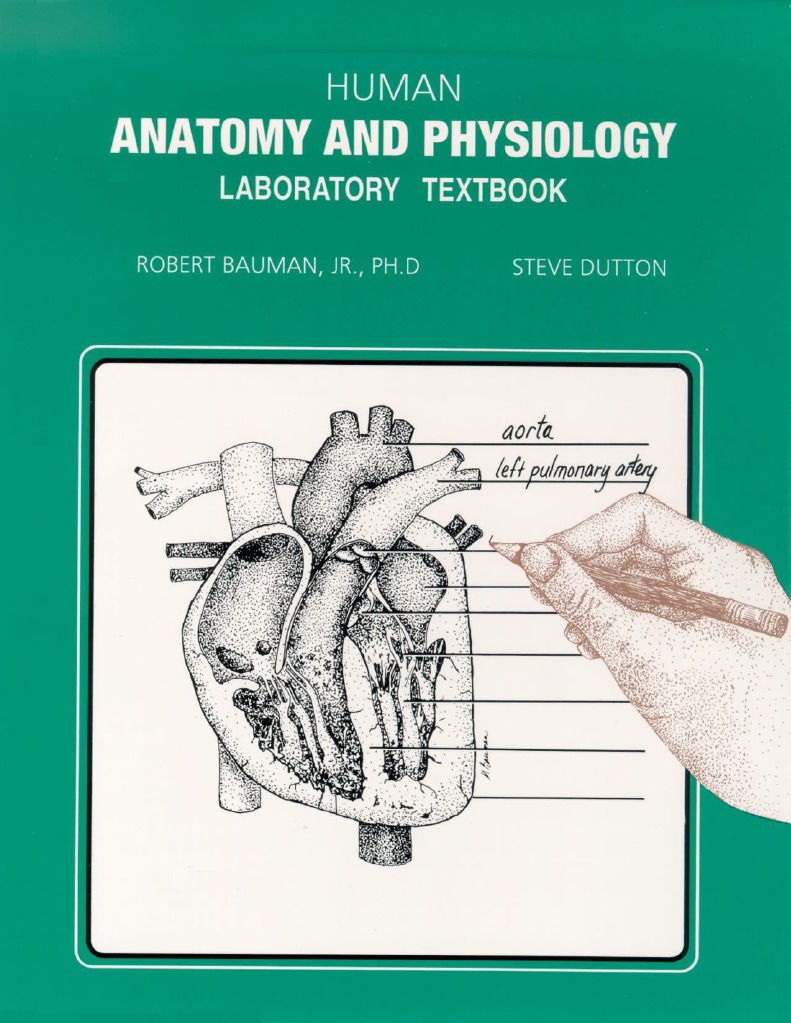 Human Anatomy Workbook2 | PDF