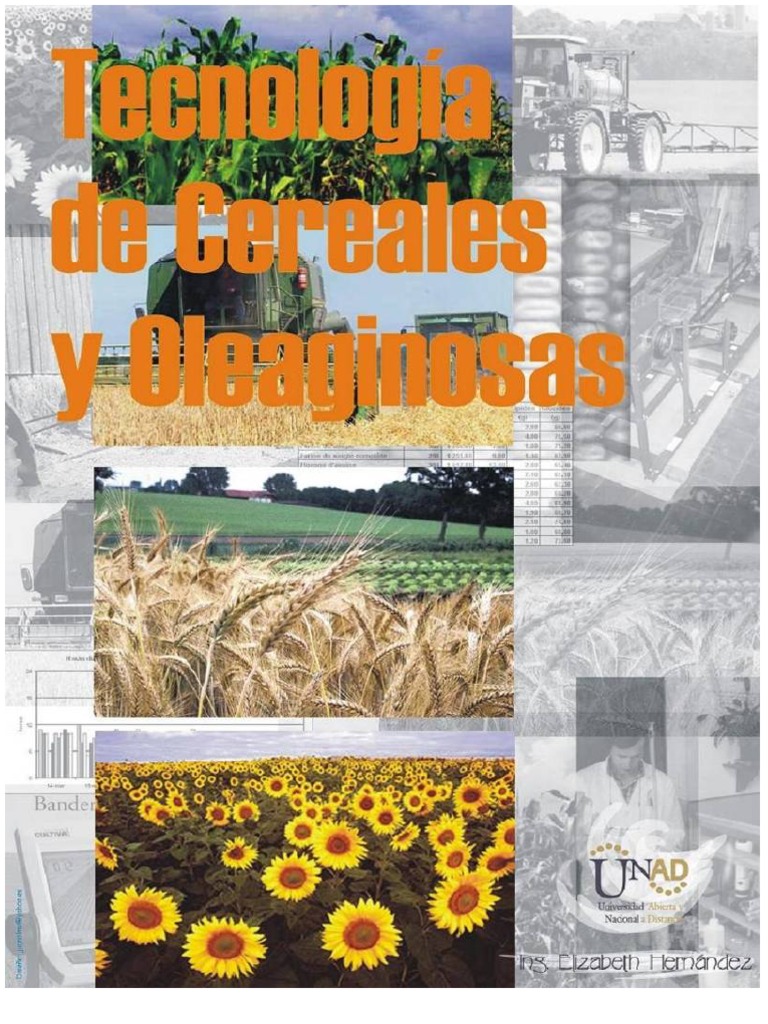 Tecnologia de Cereales y Oleaginosas | PDF | Cereales | Trigo