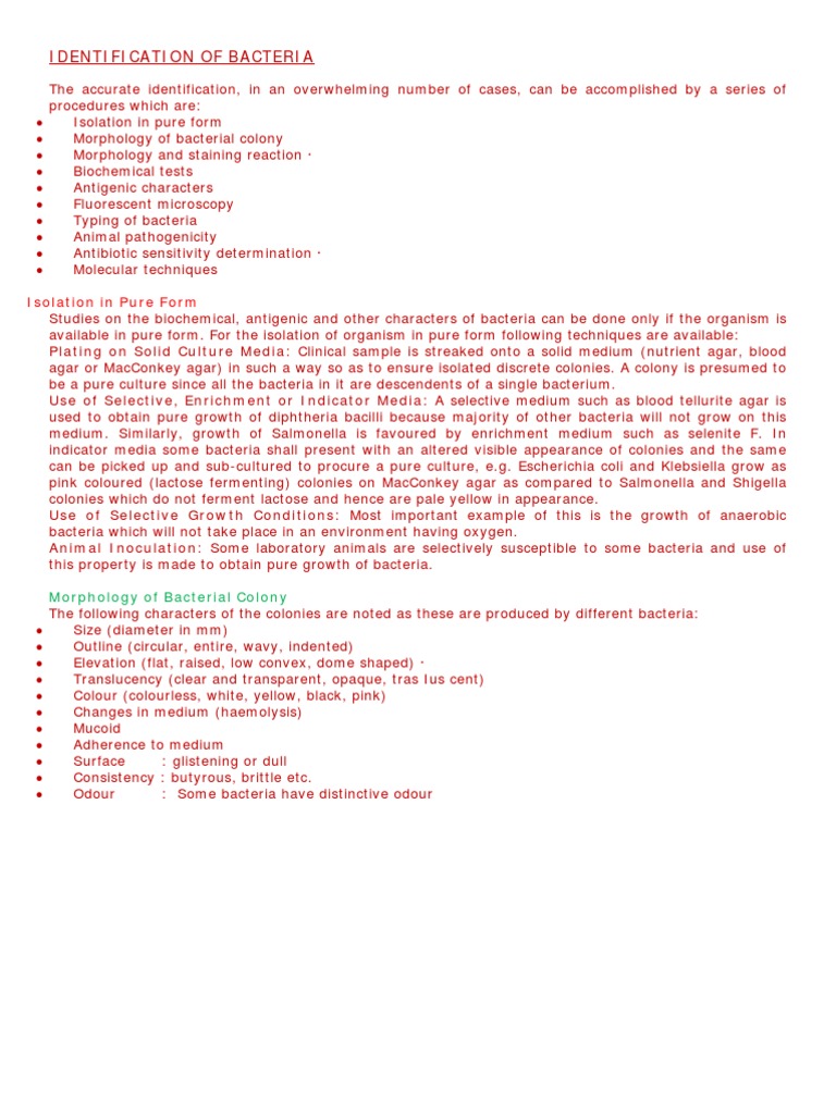 Identification Of Bacteria Pdf Growth Medium Bacteria