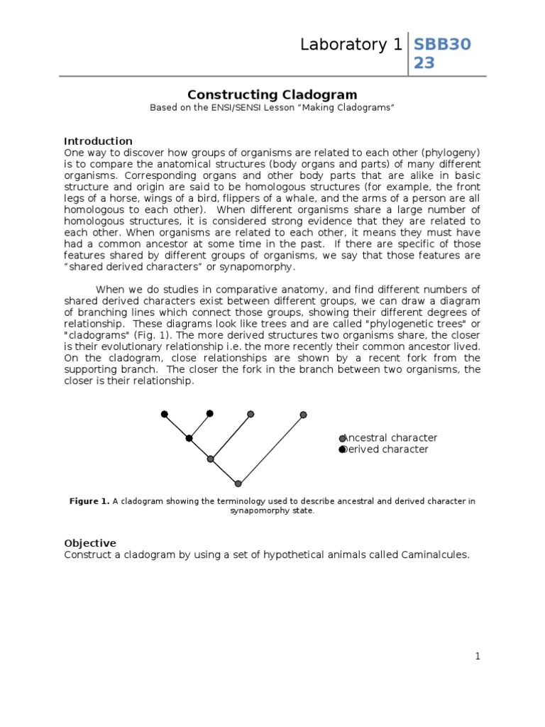 Constructing Cladograms Guide | PDF | Homology (Biology) | Phylogenetics