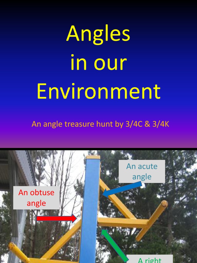 Angle Hunt in Our Environment | PDF | Home & Garden
