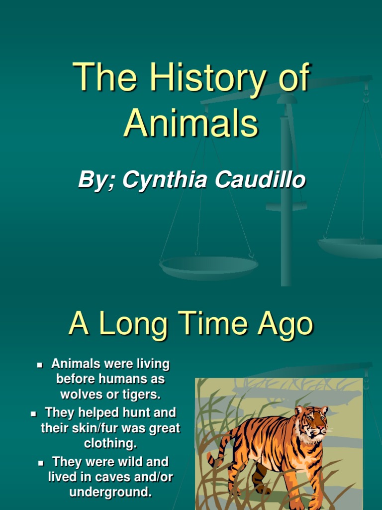 Evolution of Animals Through Time | PDF