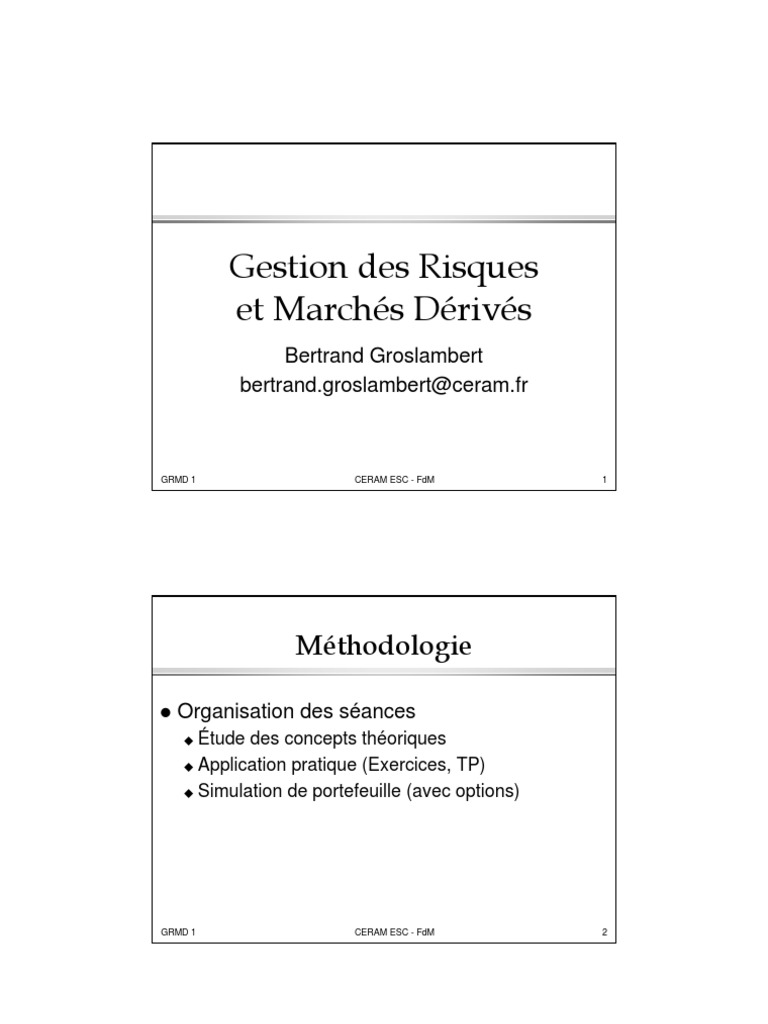 La Gestion de Risque | PDF