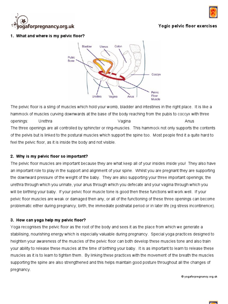 Yogic Pelvic Floor Exercises | PDF | Pelvis | Breathing