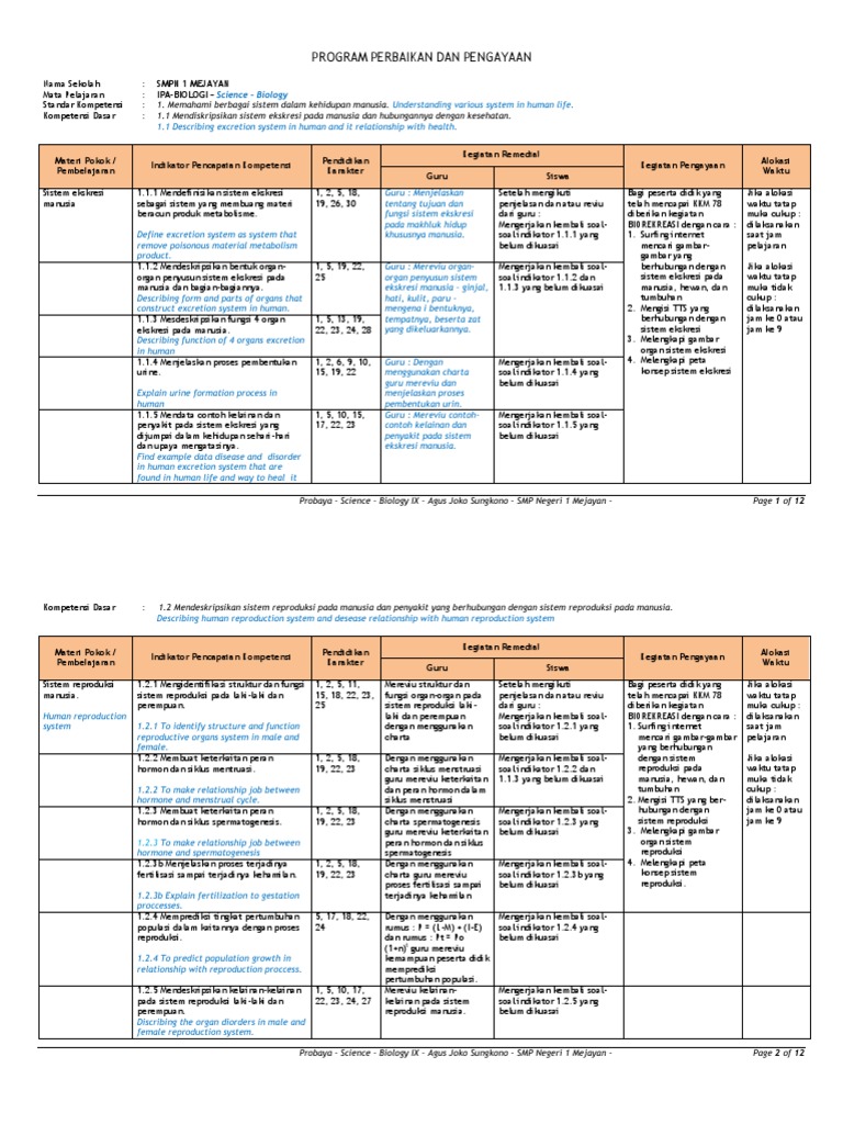 Program Perbaikan Dan Pengayaan | PDF