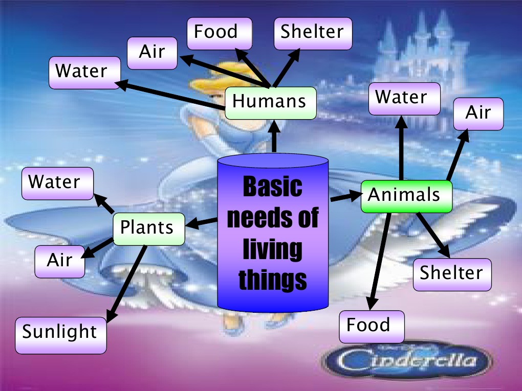 Basic Needs of Living Things | PDF | Wellness | Science & Mathematics