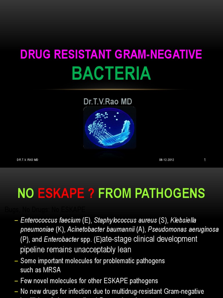 Drug Resistant Gram-Negative Bacteria | PDF | Beta Lactamase | Clinical ...