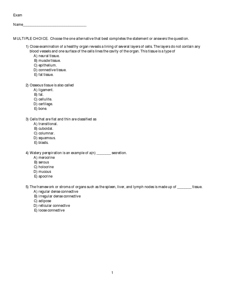 Anatomy Exam: Tissue Types and Functions | PDF | Vertebra | Bone
