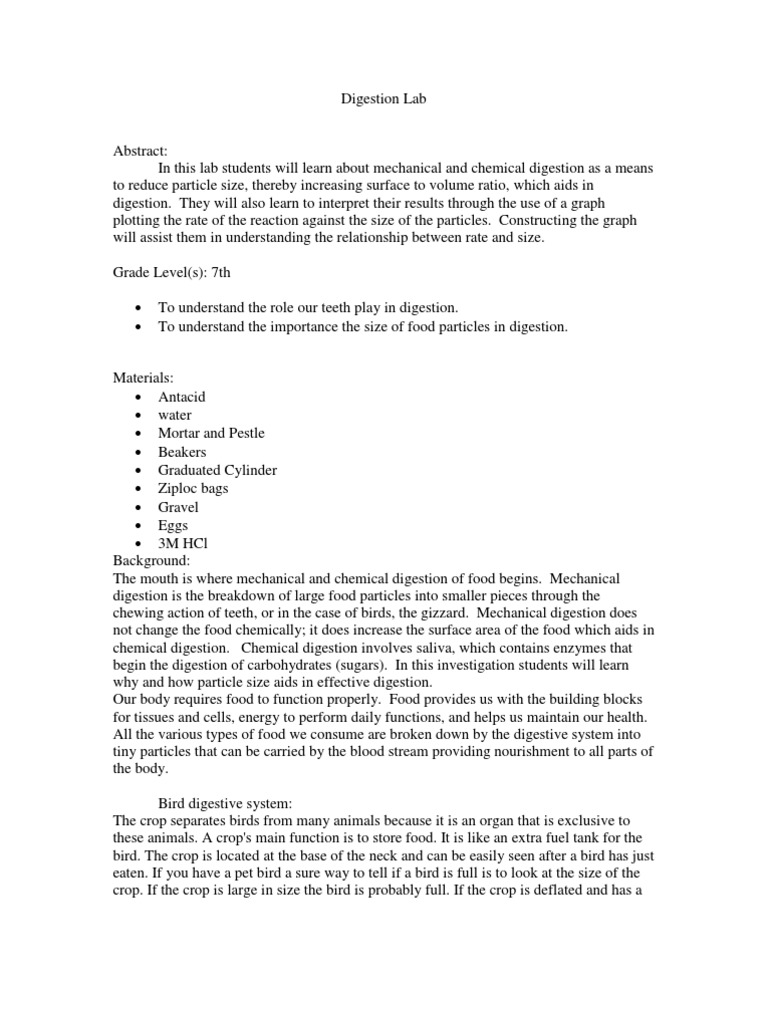 Digestion Lab | PDF | Digestion | Human Digestive System