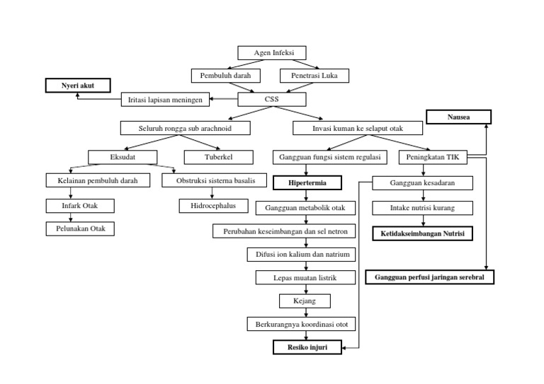 Woc Meningitis | PDF